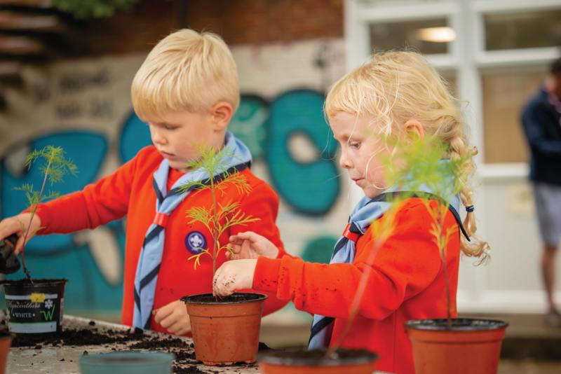 Furthering reach and Community Impact | Scouts