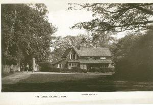 Gilwell Park: 1919 to 2019 | Scouts