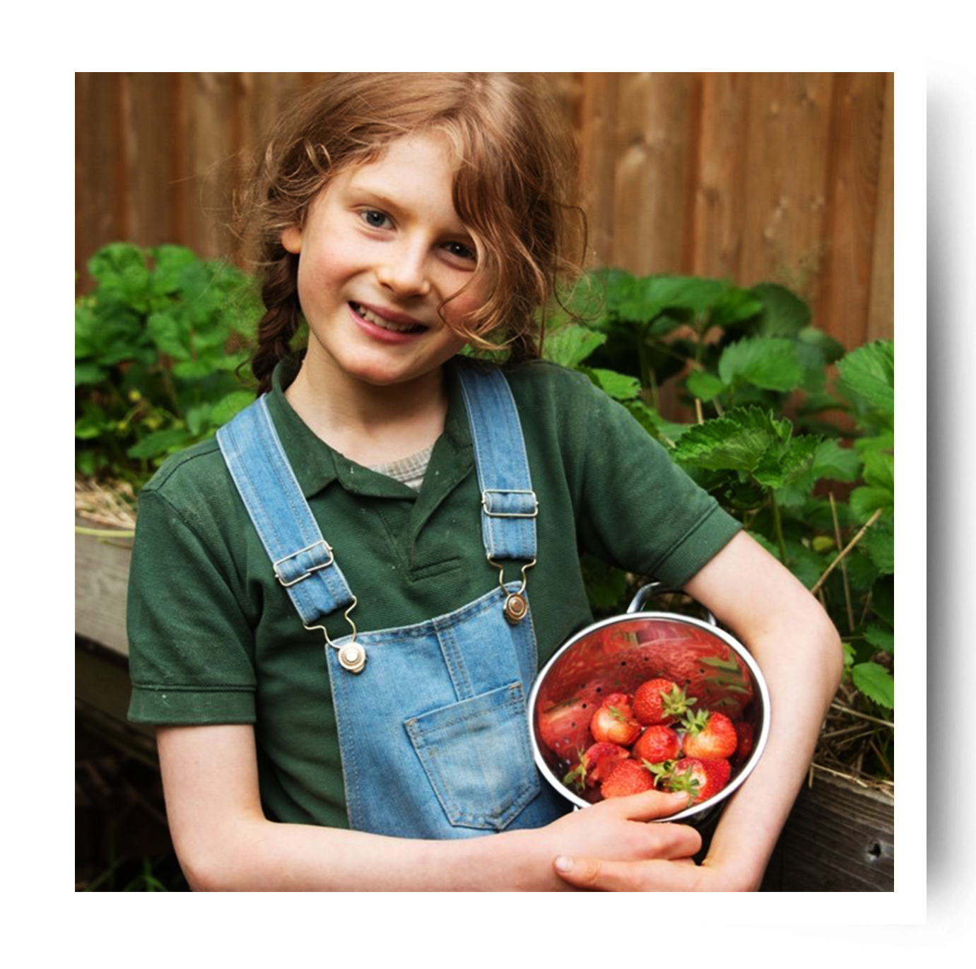 Community Impact | Scouts