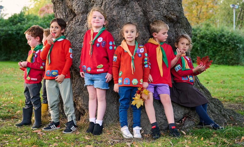 Grassroots Scouts and family-led Squirrel Dreys | Blog | Scouts