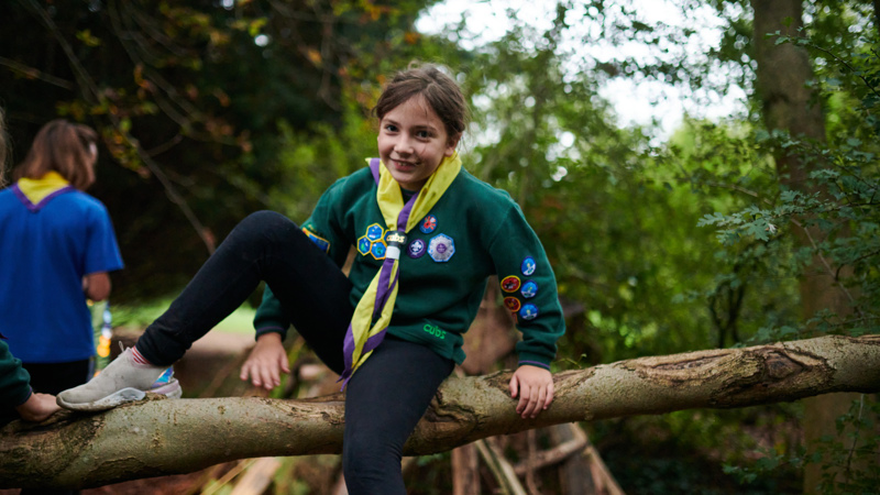 Administration and management | Scouts