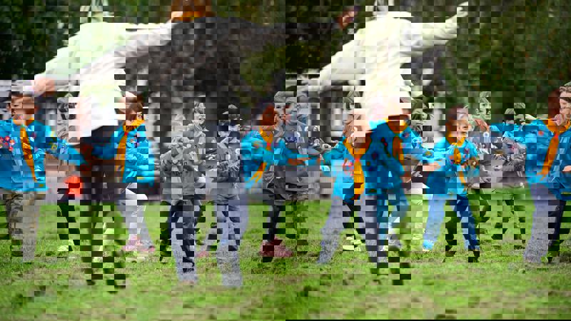 Where to find programme resources | Update | Scouts