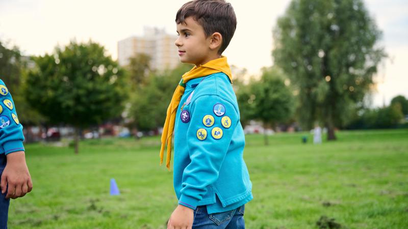 Planning your programme | Scouts
