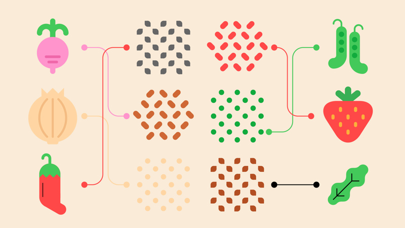 Pip pip hooray | Activities | Scouts