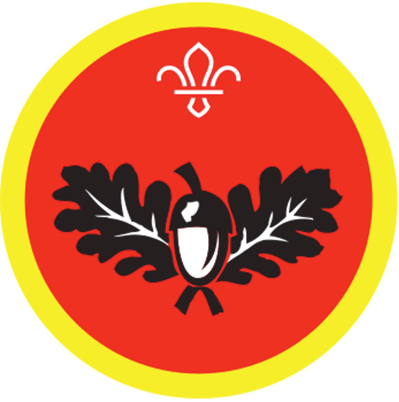 January 2026 | Scouts