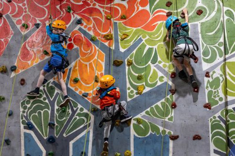 Fundays at Gilwell Park | Scouts