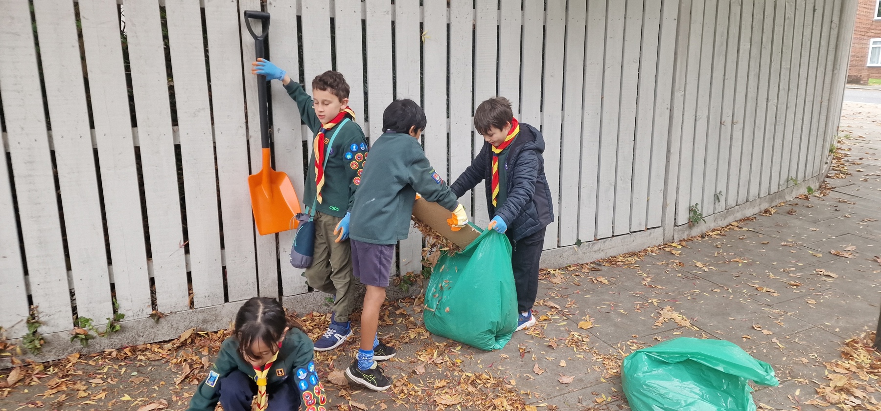 Leave it to the Cubs: the big autumn street clean | News | Scouts