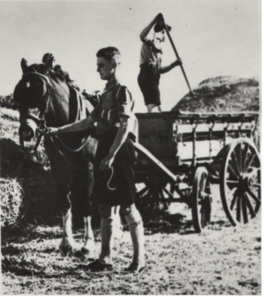 How Scouts helped feed the UK during the Second World War | Blog | Scouts