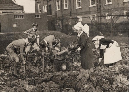 How Scouts helped feed the UK during the Second World War | Blog | Scouts