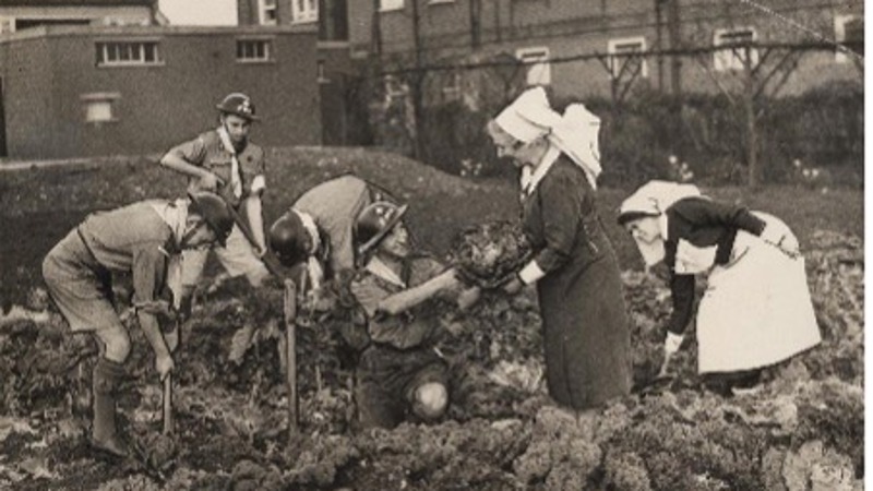 How Scouts helped feed the UK during the Second World War | Blog | Scouts